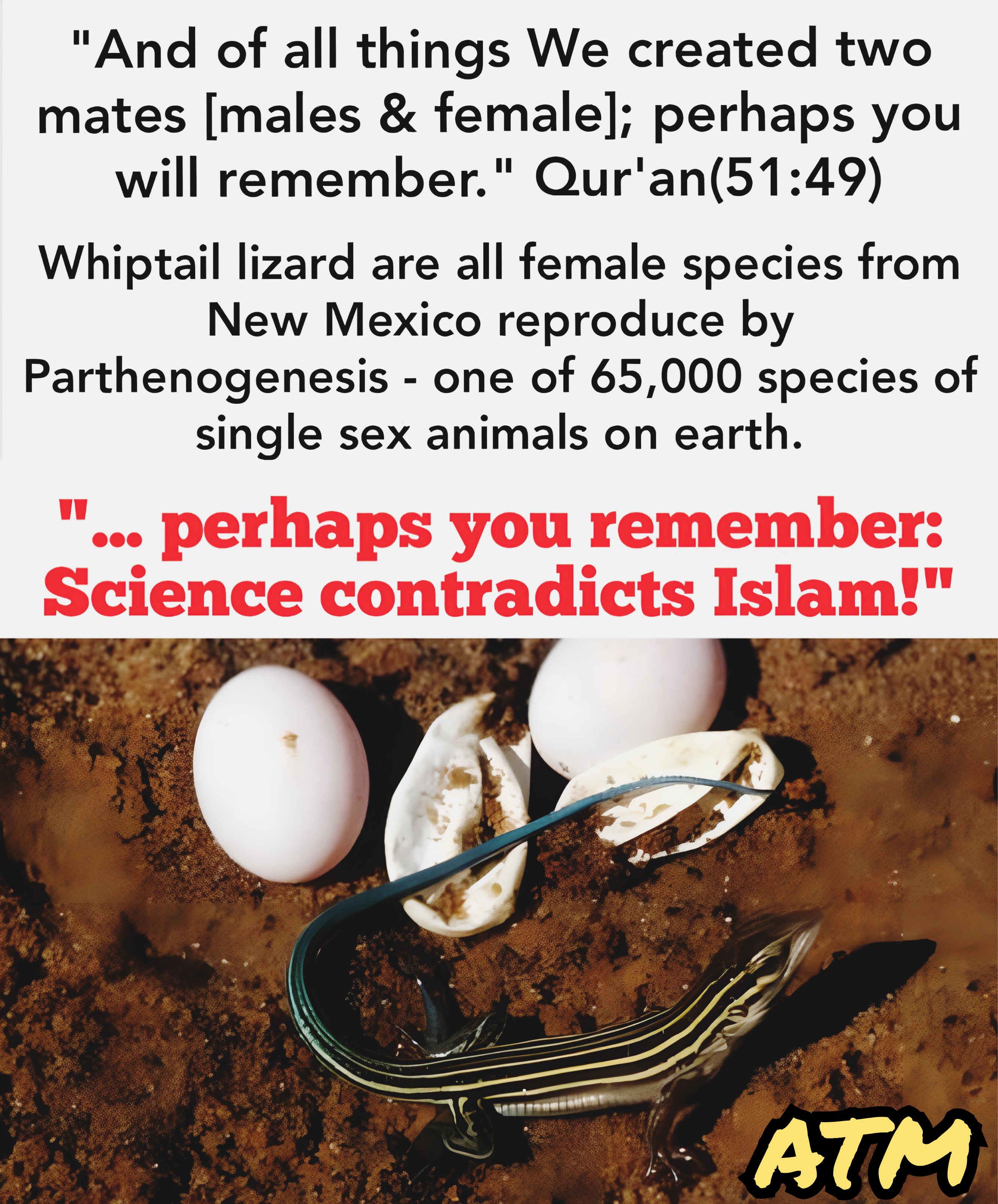Reason #31: All things are made in pairs! – ExMuslim Memes Page